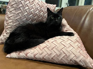 Spiritum – “The Inside Out View” – Spiritum Scrubs