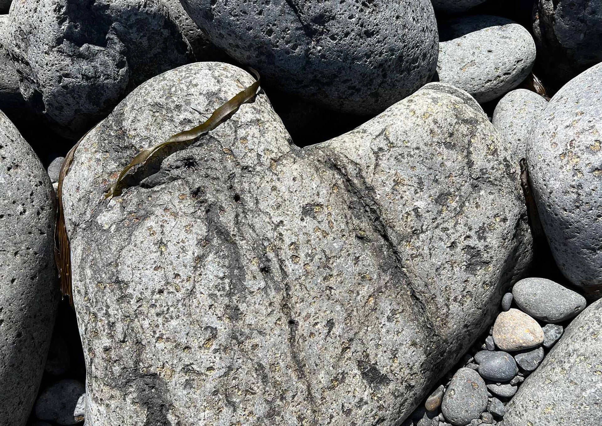 Blog – Spiritum Scrubs